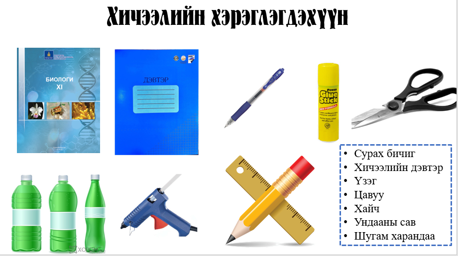 Мэдлээ Цахим контент